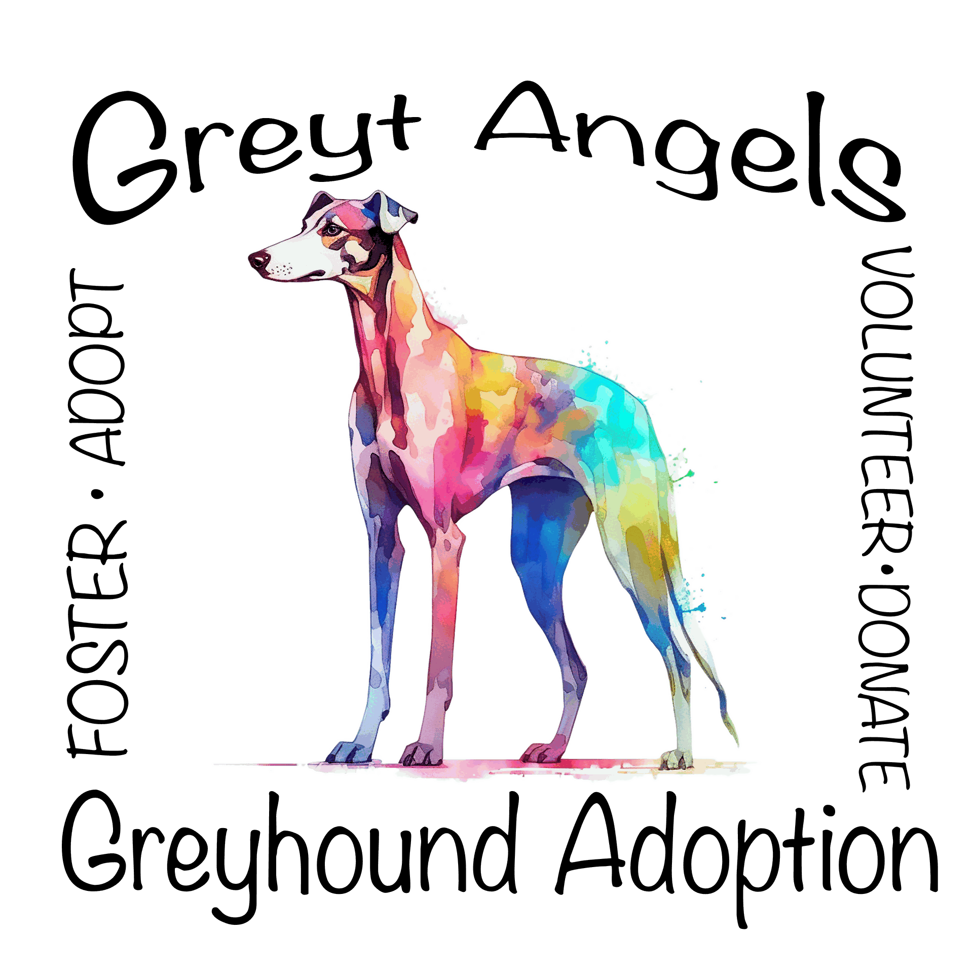 Adopt a Greyhound in Indiana | Greyt Angels Inc